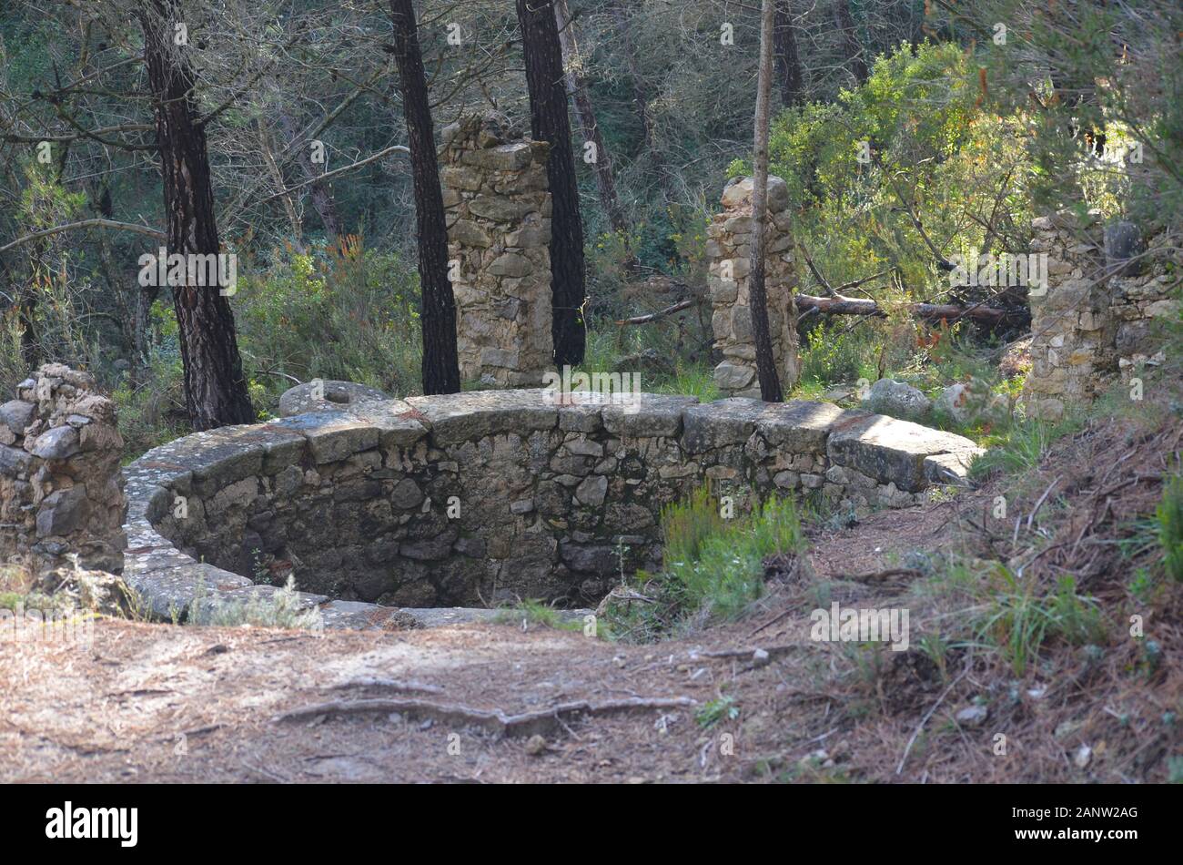 Process deforestation in mountains spain hi-res stock photography and ...