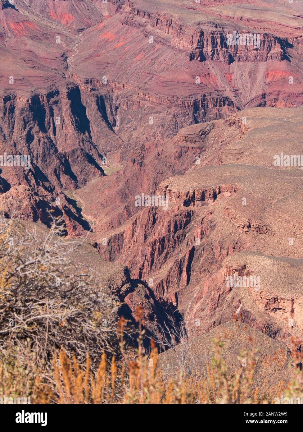 Tuweep grand canyon hi-res stock photography and images - Alamy