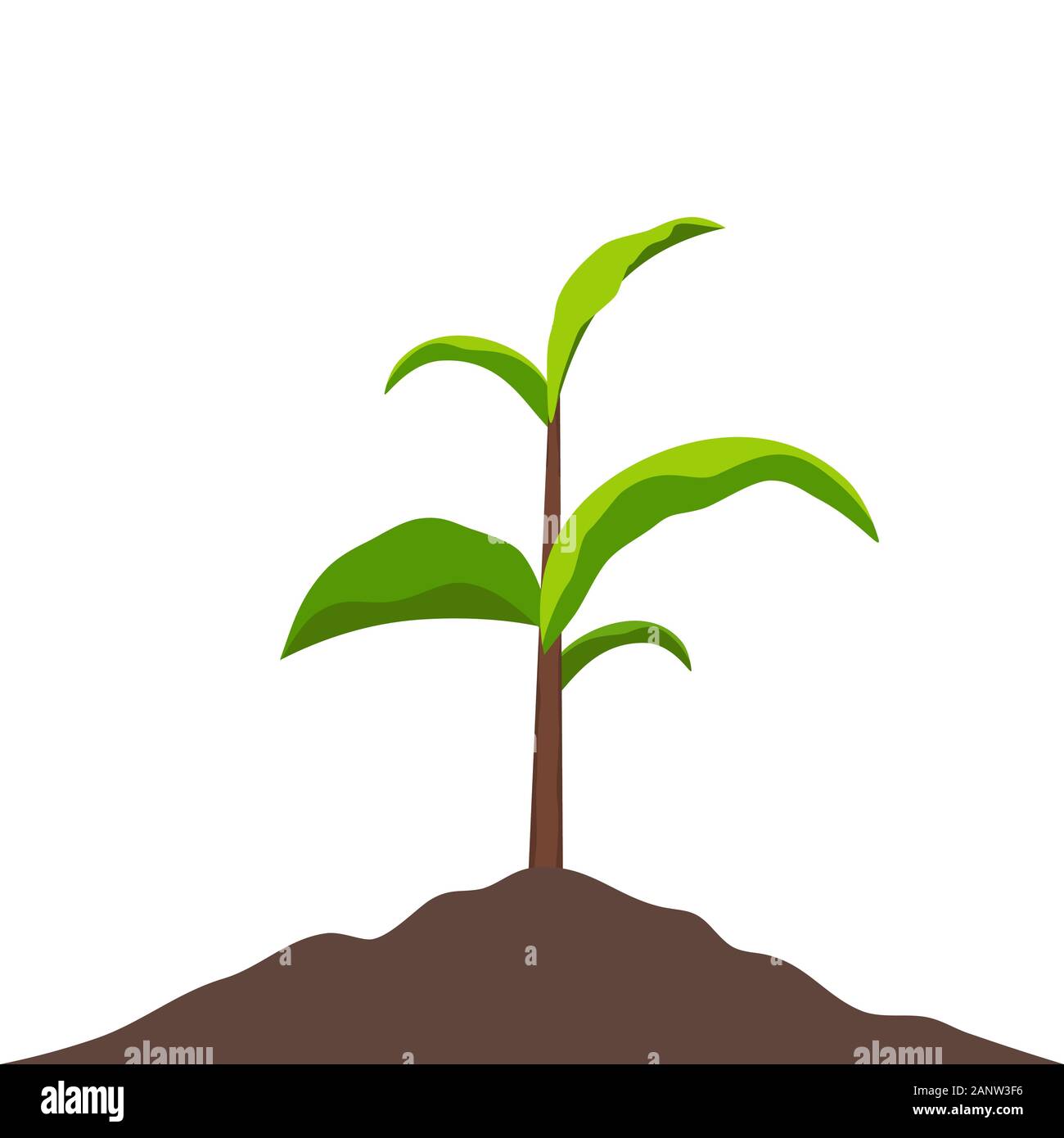 Sprout growing in soil. Small sprout with green leaves. Symbol of ...