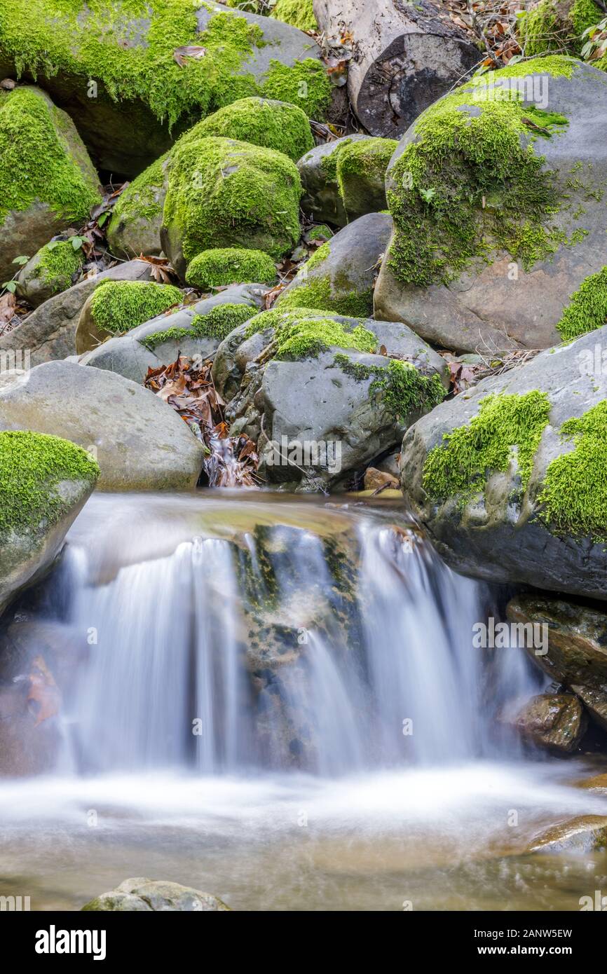 Spring rains waterfall hi-res stock photography and images - Alamy