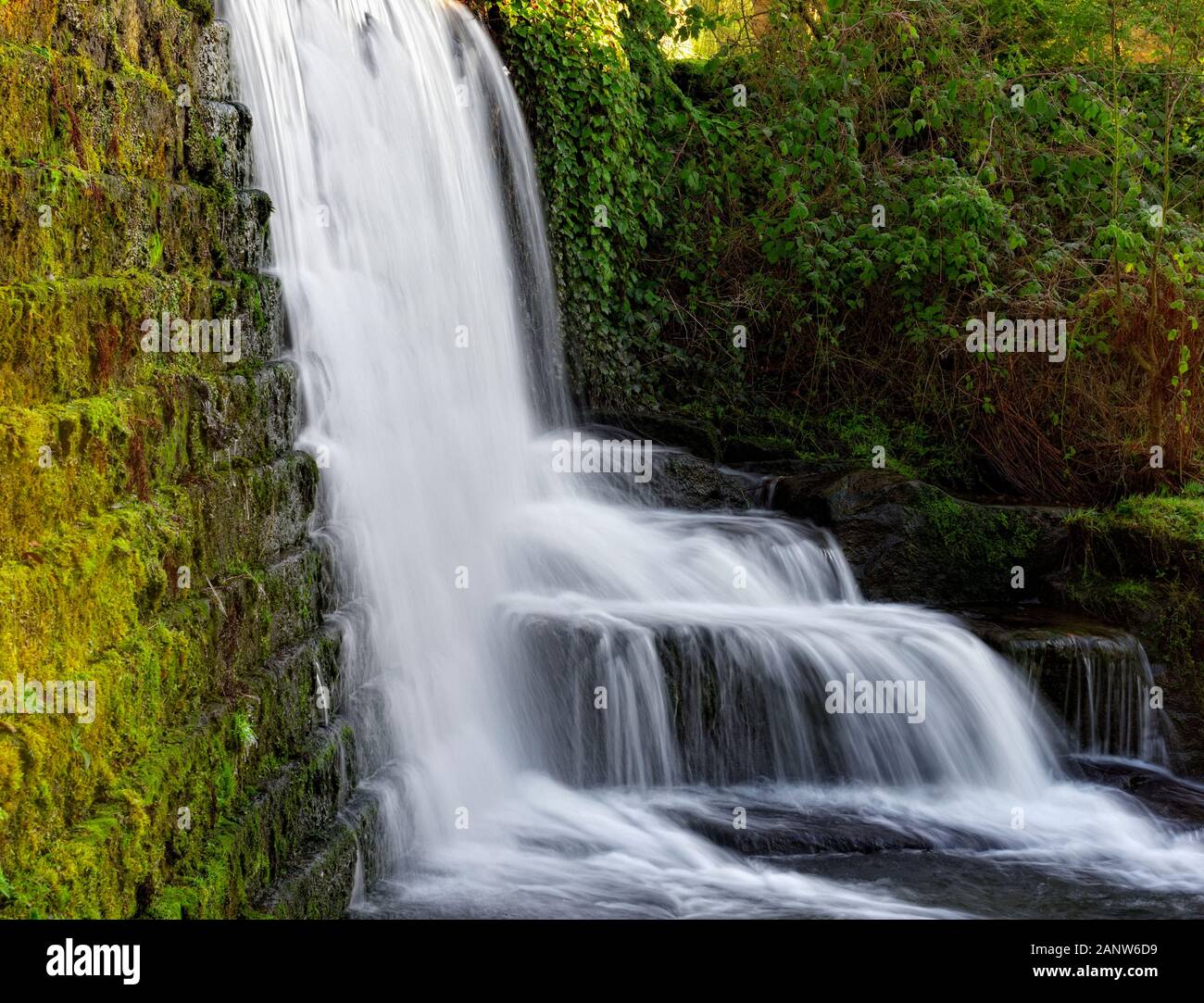 Lumsdale waterfall,Matlock,Derbyshire peak district,England ,UK Stock ...