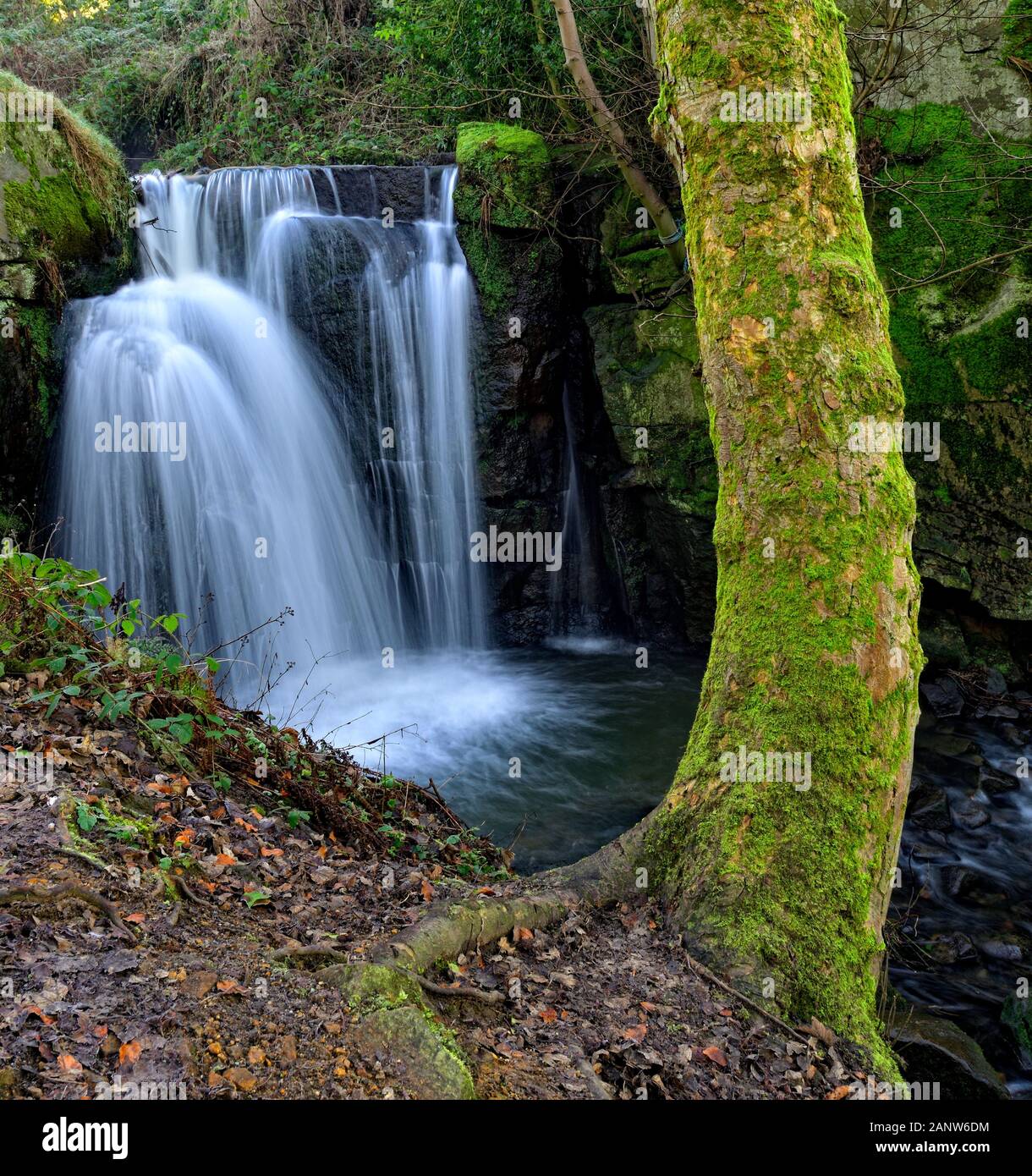 Lumsdale waterfall,Matlock,Derbyshire peak district,England ,UK Stock ...
