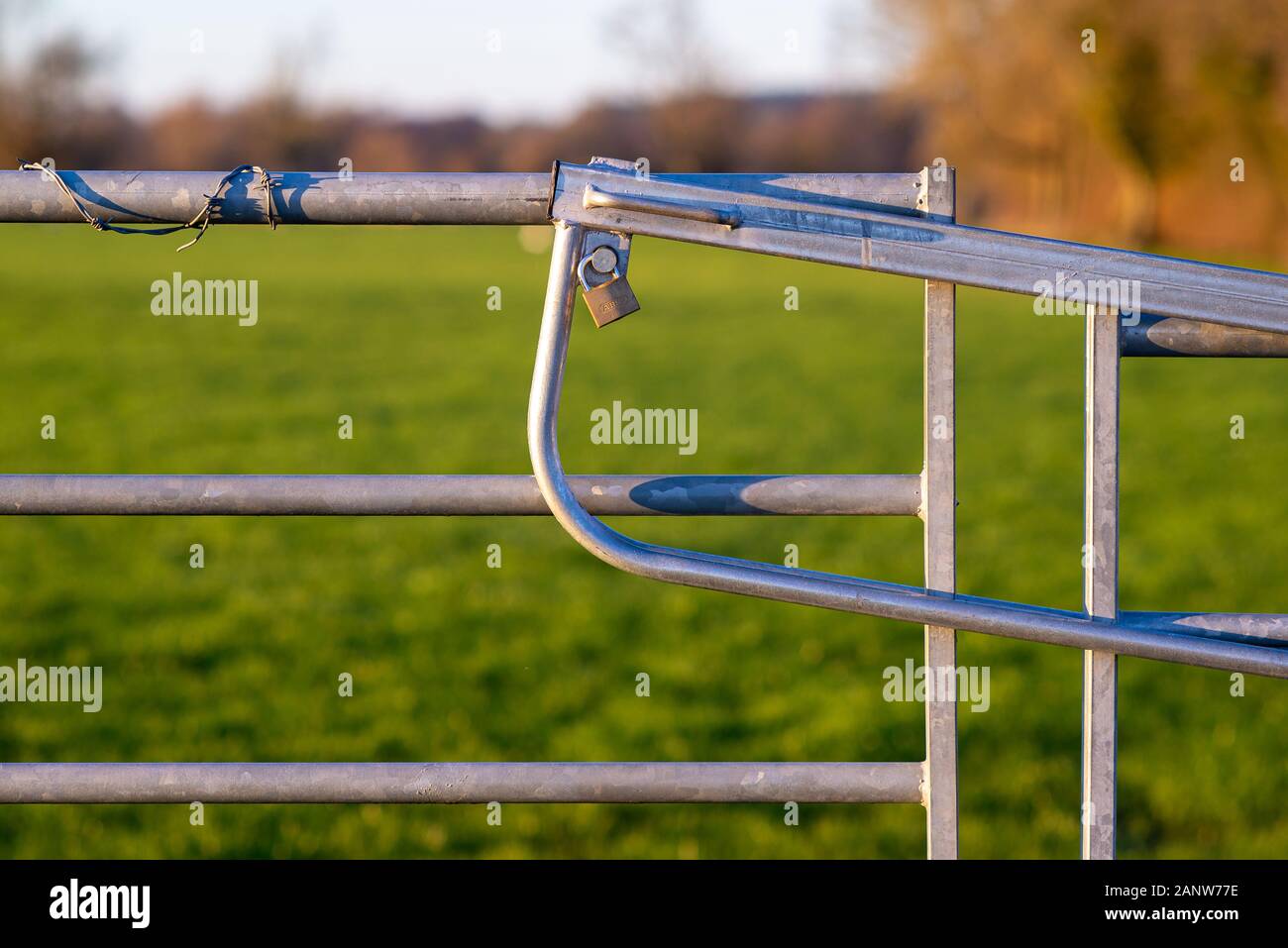 Locked metal gate with a padlock Stock Photo - Alamy