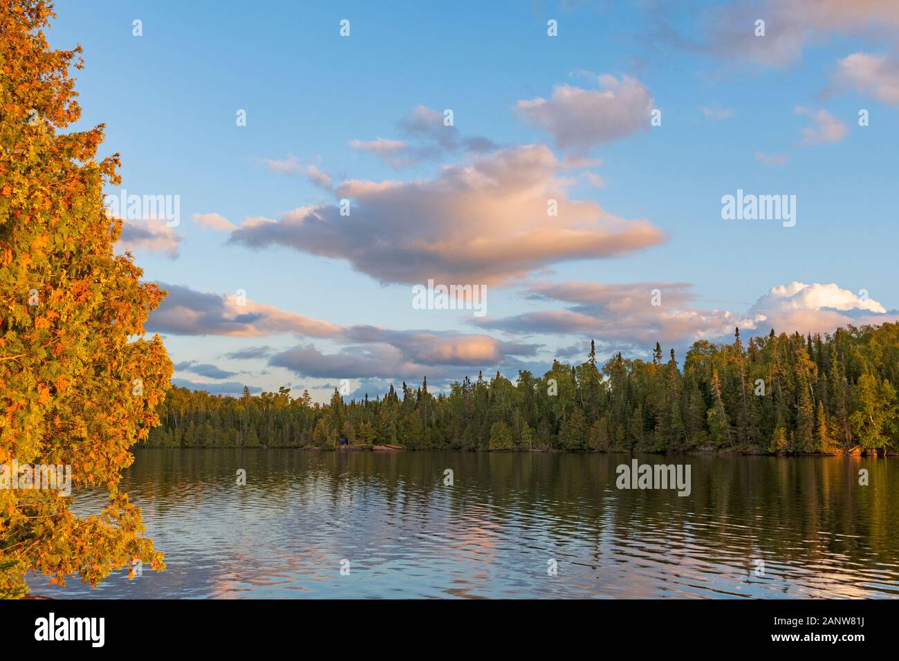 Evening Colors and Clouds in the North Woods on Caribou Lake in the ...