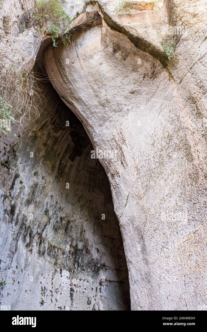 Ear of dionisio hi-res stock photography and images - Alamy
