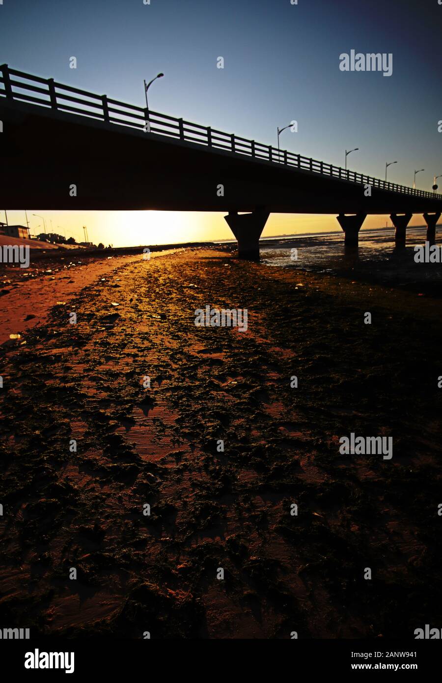 Sheikh Jaber Al-Ahmad Al-Sabah Causeway across beach and sea in Kuwait ...