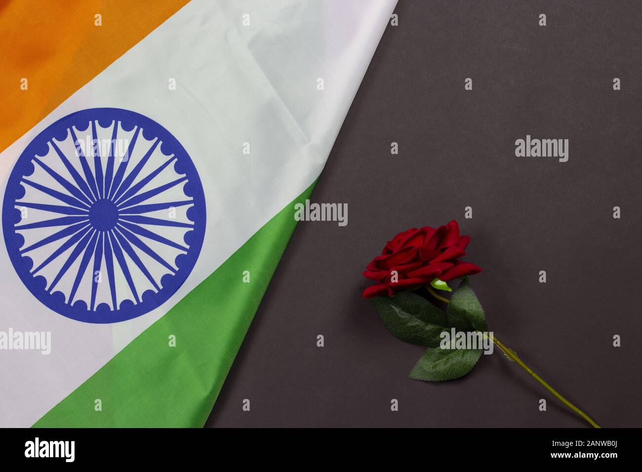 White rose flag hi-res stock photography and images - Alamy