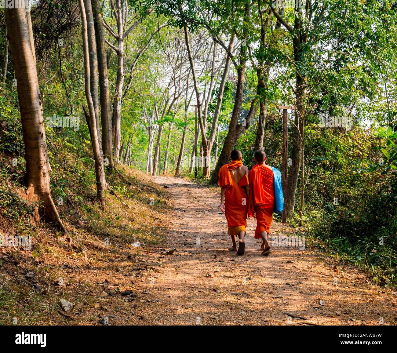 Young boy monks in orange robes walking on dirt path through wood ...