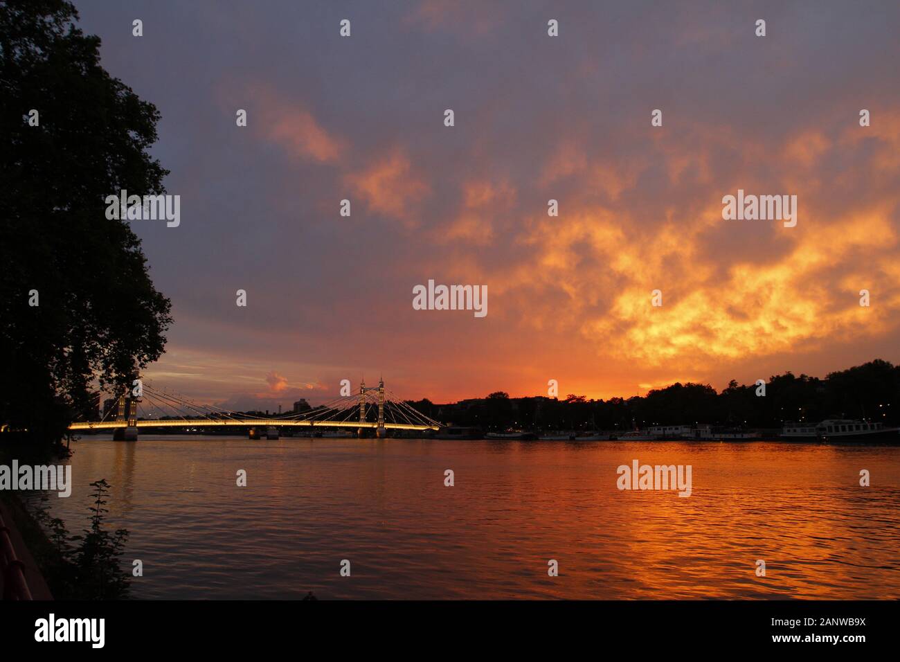 Albert Bridge, London,UK. View of Albert Bridge in the evening sunset ...