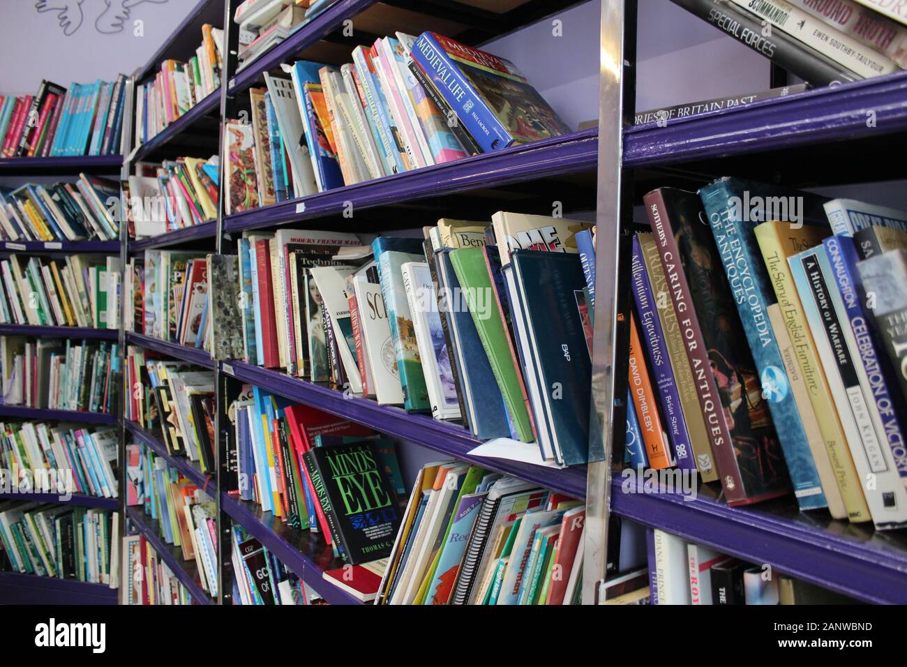 Collection of Books Stock Photo - Alamy