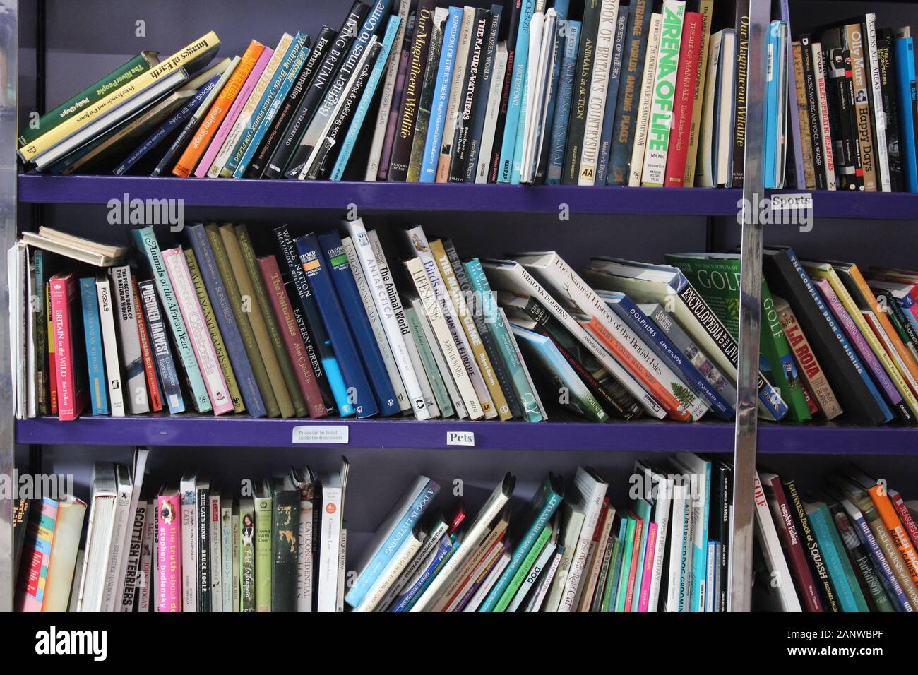 Collection of Books Stock Photo - Alamy