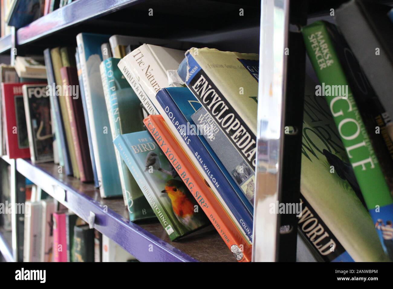Collection of Books Stock Photo - Alamy