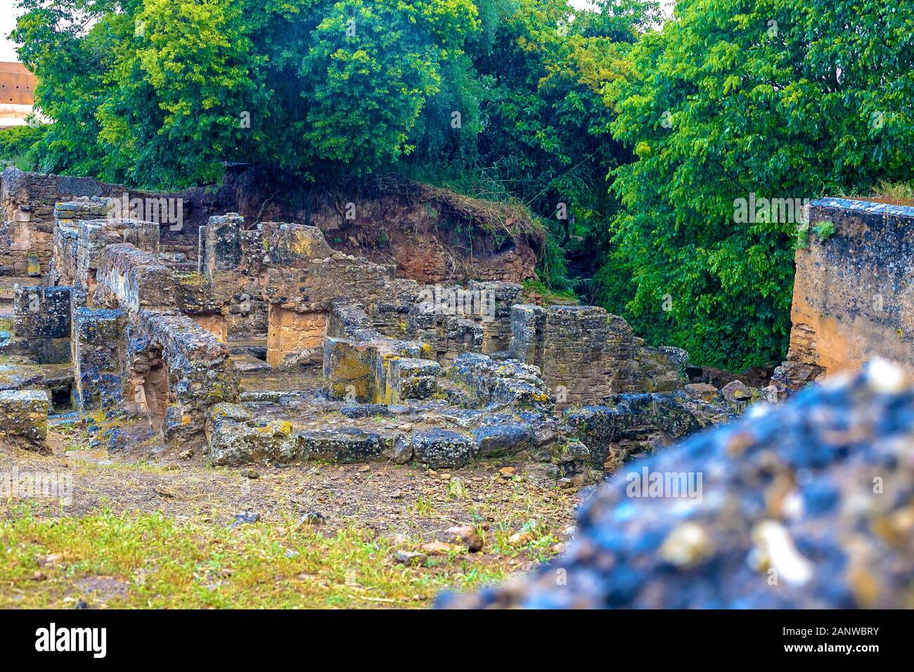 Ruins of the Roman city known as Sala Colonia and the Islamic complex ...