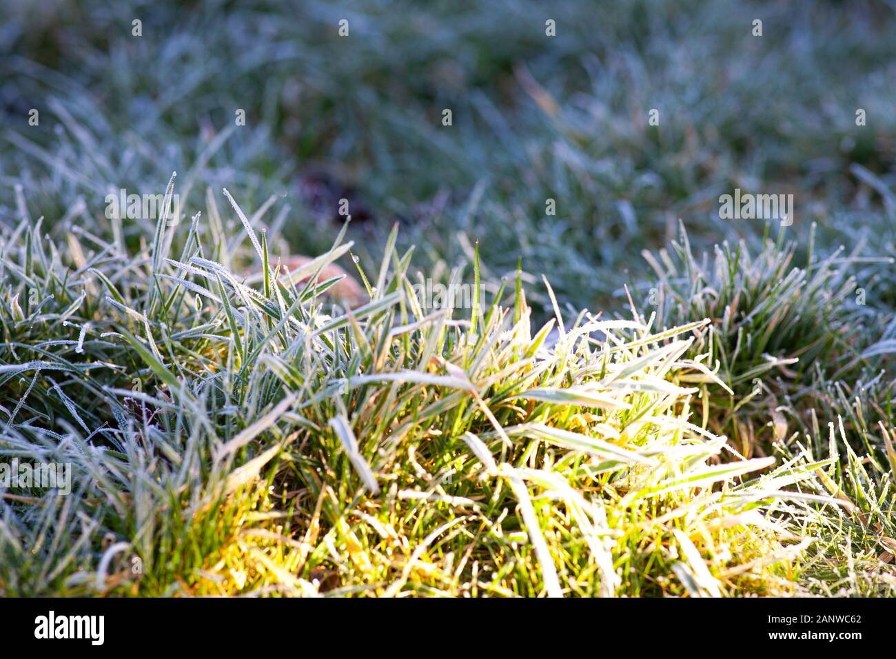 Sun melting the frost hi-res stock photography and images - Alamy
