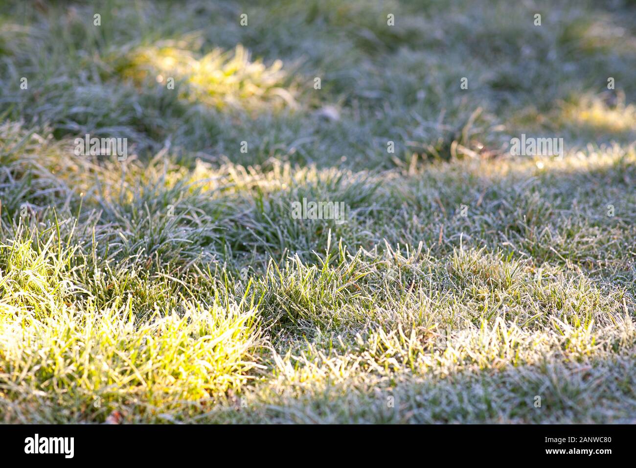 Melting frost this spring Stock Photo - Alamy