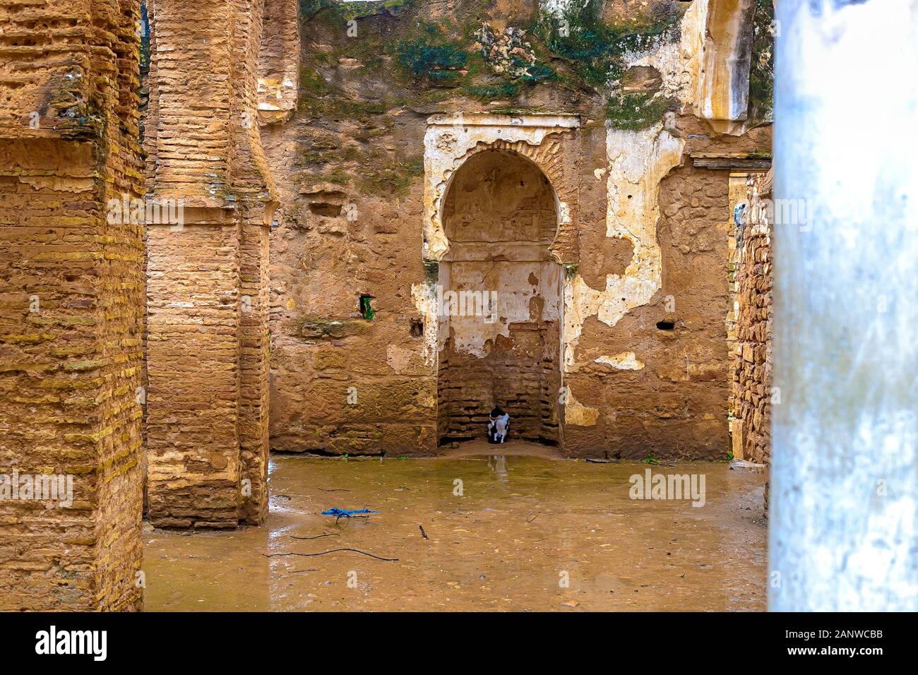 Ruins of the Roman city known as Sala Colonia and the Islamic complex ...