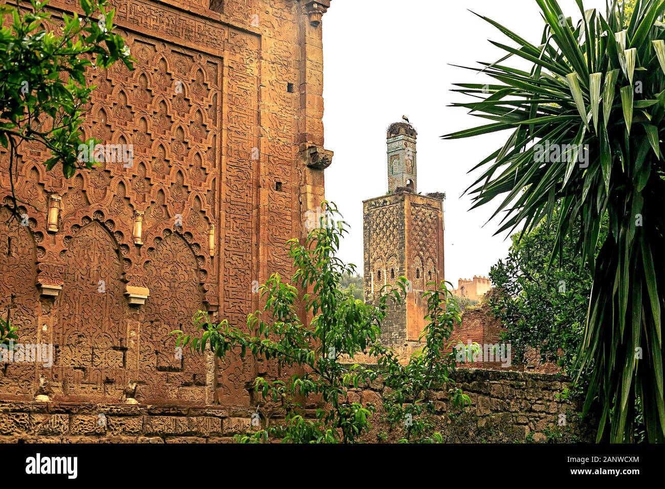 Ruins of the Roman city known as Sala Colonia and the Islamic complex ...