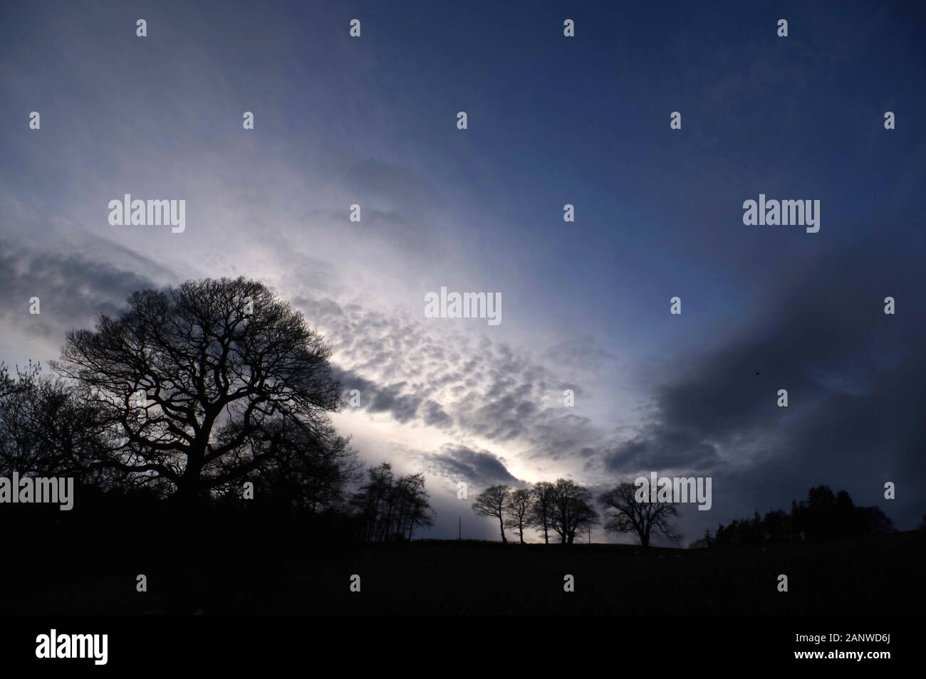 Dramatic clouds and trees Stock Photo - Alamy