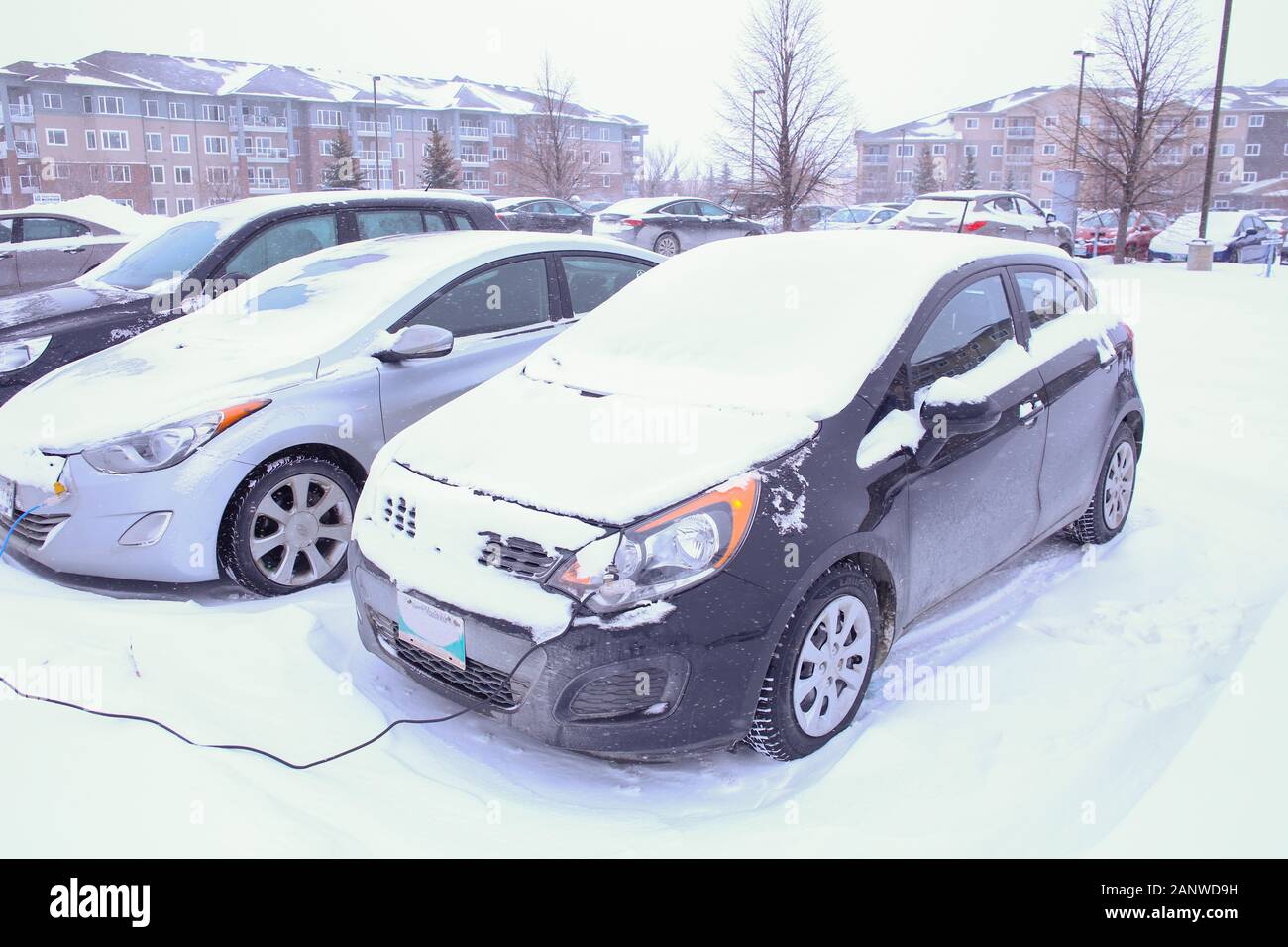 Winter Car Cord to Protect Engine From Extreme Cold Weather Stock Photo ...