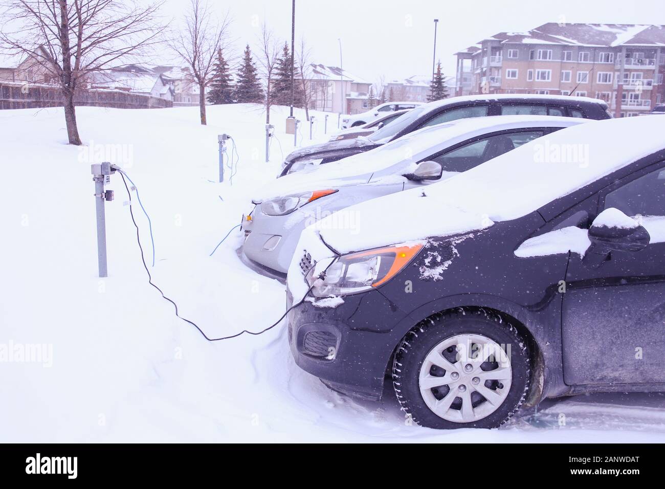 Winter Car Cord to Protect Engine From Extreme Cold Weather Stock Photo ...