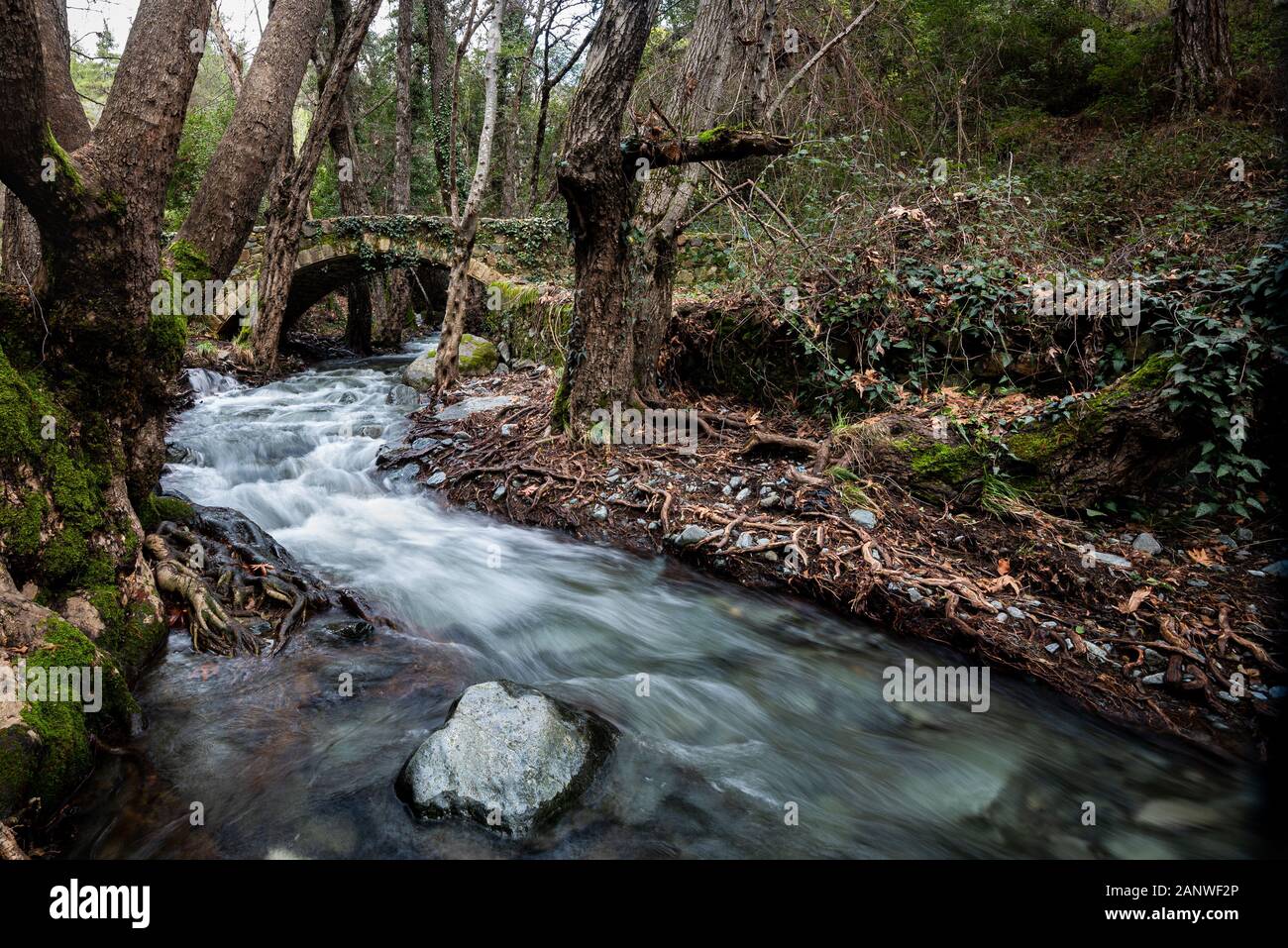 Beautiful medieval stoned bridge or Milia with river full with water ...