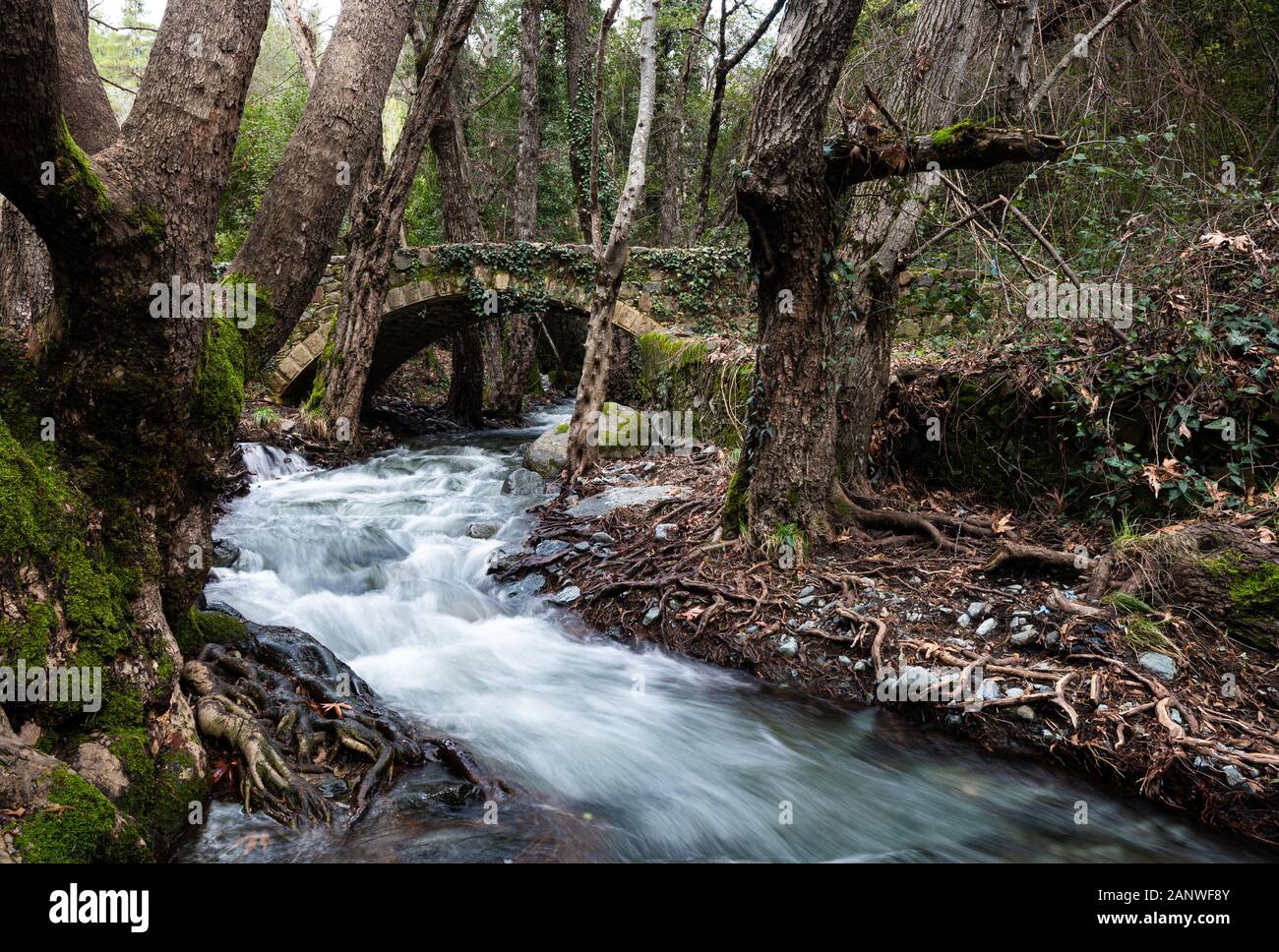 Beautiful medieval stoned bridge or Milia with river full with water ...