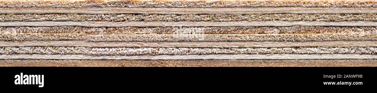 Plywood end side high resolution texture Stock Photo - Alamy