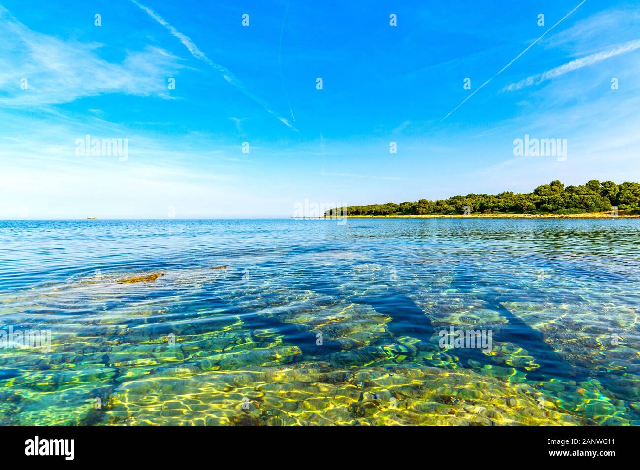 Adriatic sea shore in Croatia by Adriatic Sea with pinetree near Pula ...