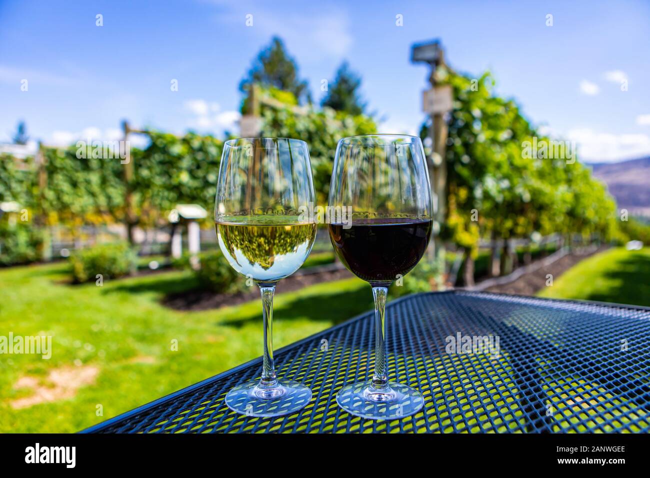wine glasses close up selective focus, modern table sitting on winery ...