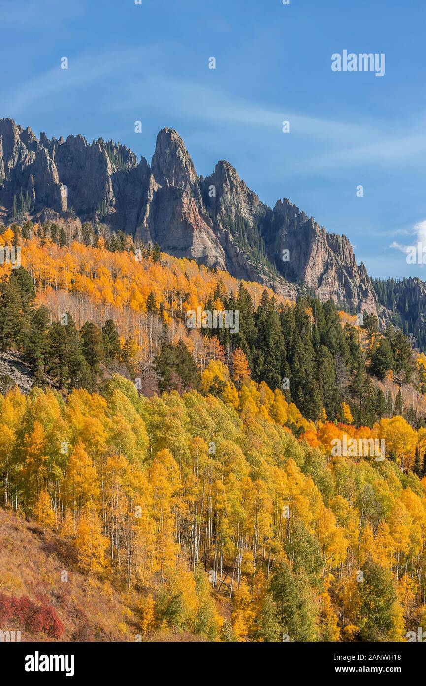 Fall color fills the mountainside along Colorado Highway 145 near ...