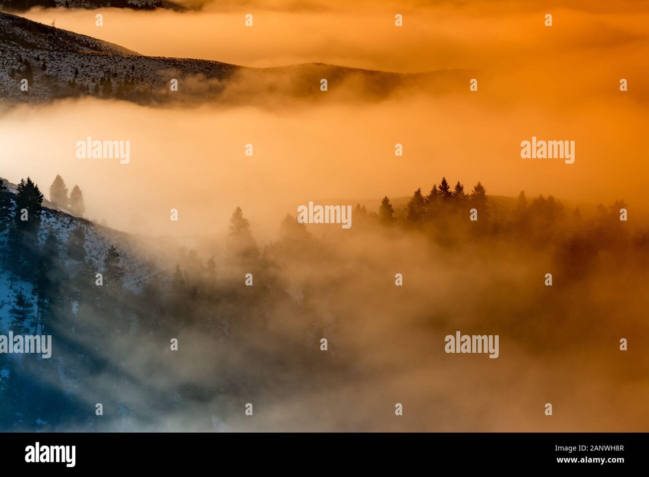 Inversion over Boise Idaho with orange colors form sunrise Stock Photo ...