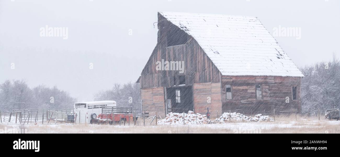 Winter farm barn with snow falling from the sky Stock Photo - Alamy
