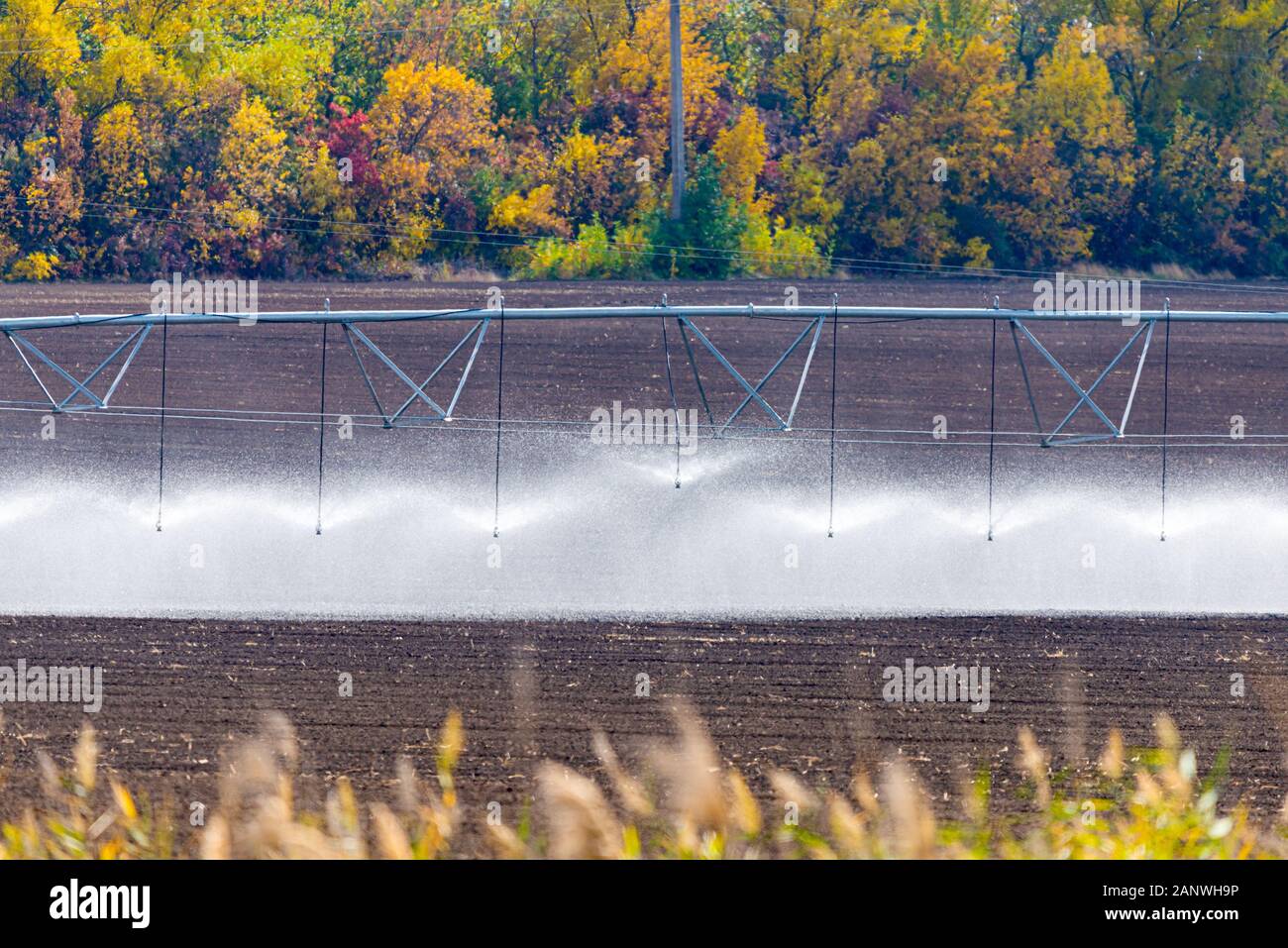 Drip irrigation modern irrigation agricultural hi-res stock photography ...