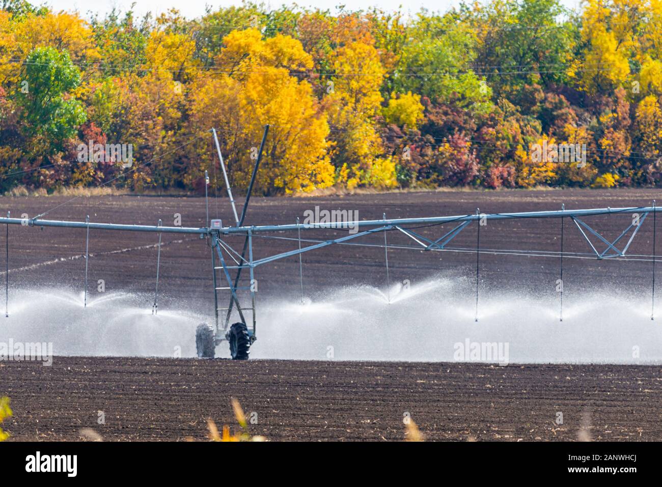 Modern irrigation system watering a farm field Stock Photo - Alamy