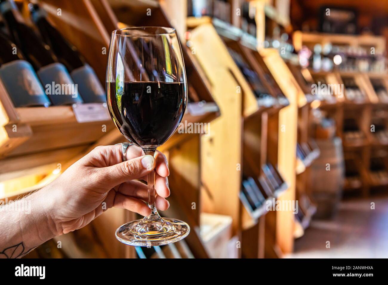 hand holding a glass of red wine selective focus view, tasting room ...