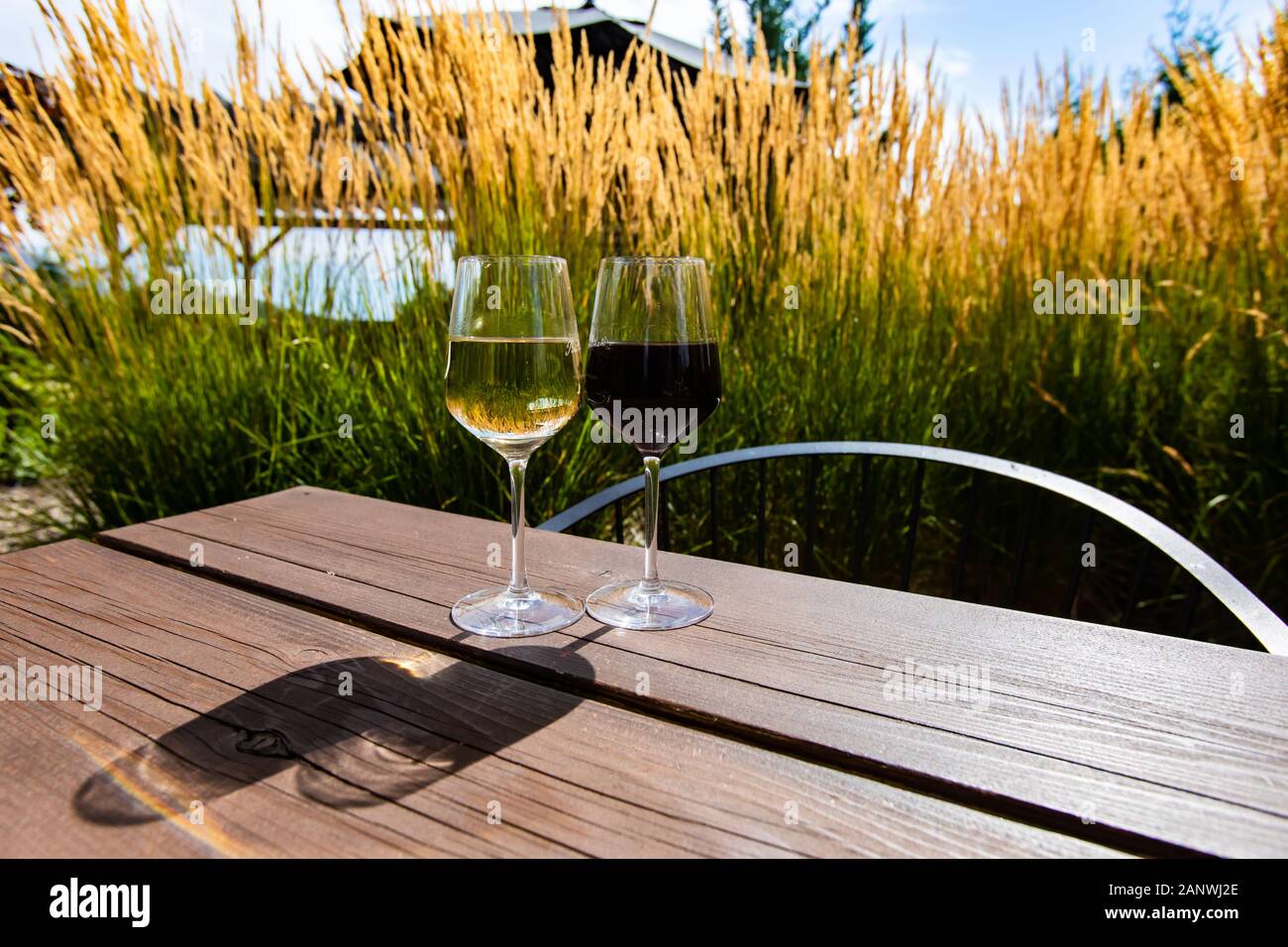pair of different wine glasses, white wine glass and red wine glass on ...