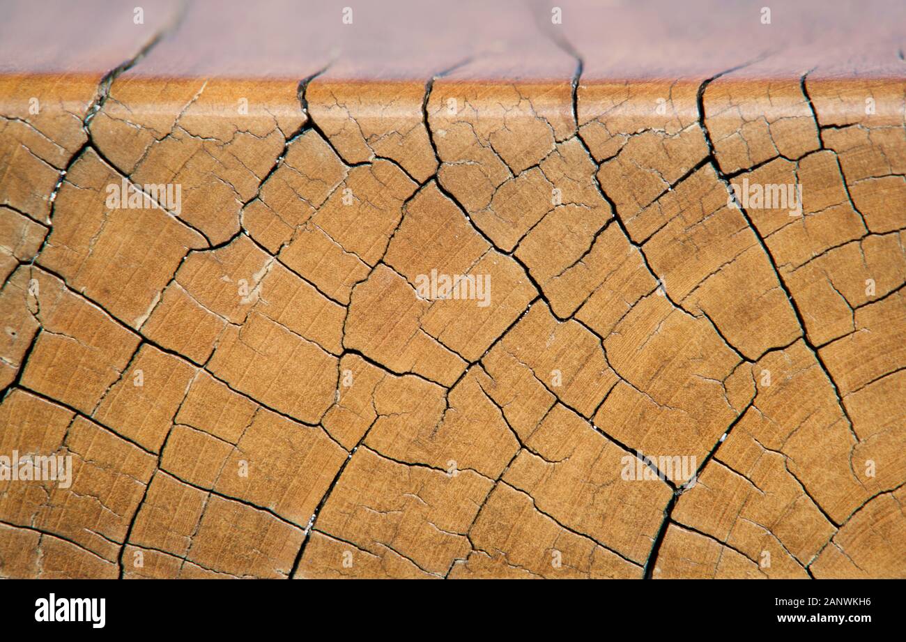 Teak wood plank hi-res stock photography and images - Alamy