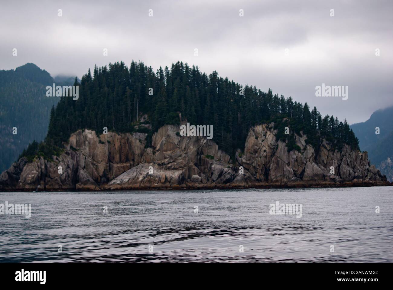 Mountain with rocks on bottom and pine trees on top in ocean Stock ...