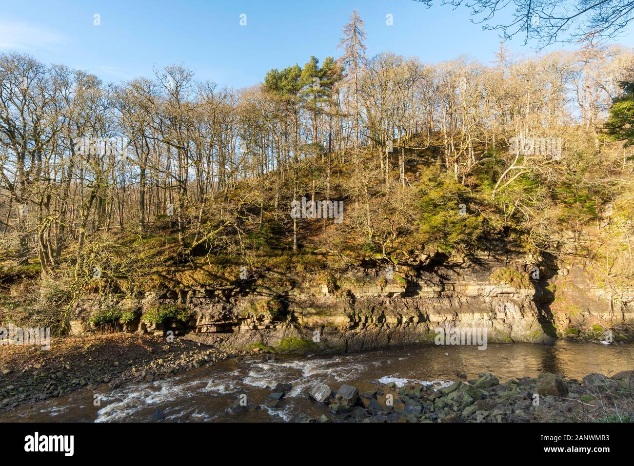 The river Allen valley in Staward Gorge showing geological bedding ...