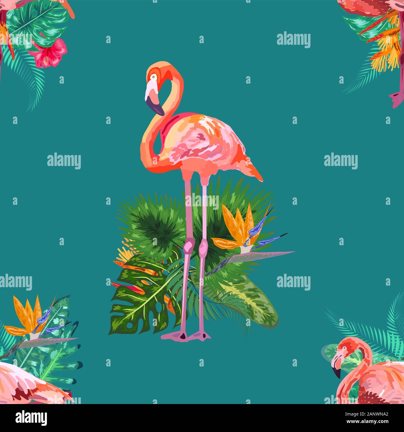 Hibiscus blue bird Stock Vector Images - Alamy