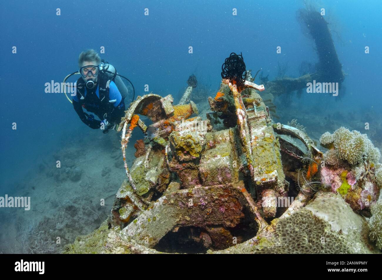 A female diver investigating the machine guns of a B-25 Mitchell Bomber ...