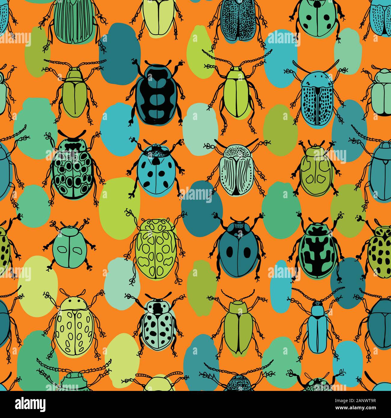 Doodle Bugs High Resolution Stock Photography and Images - Alamy