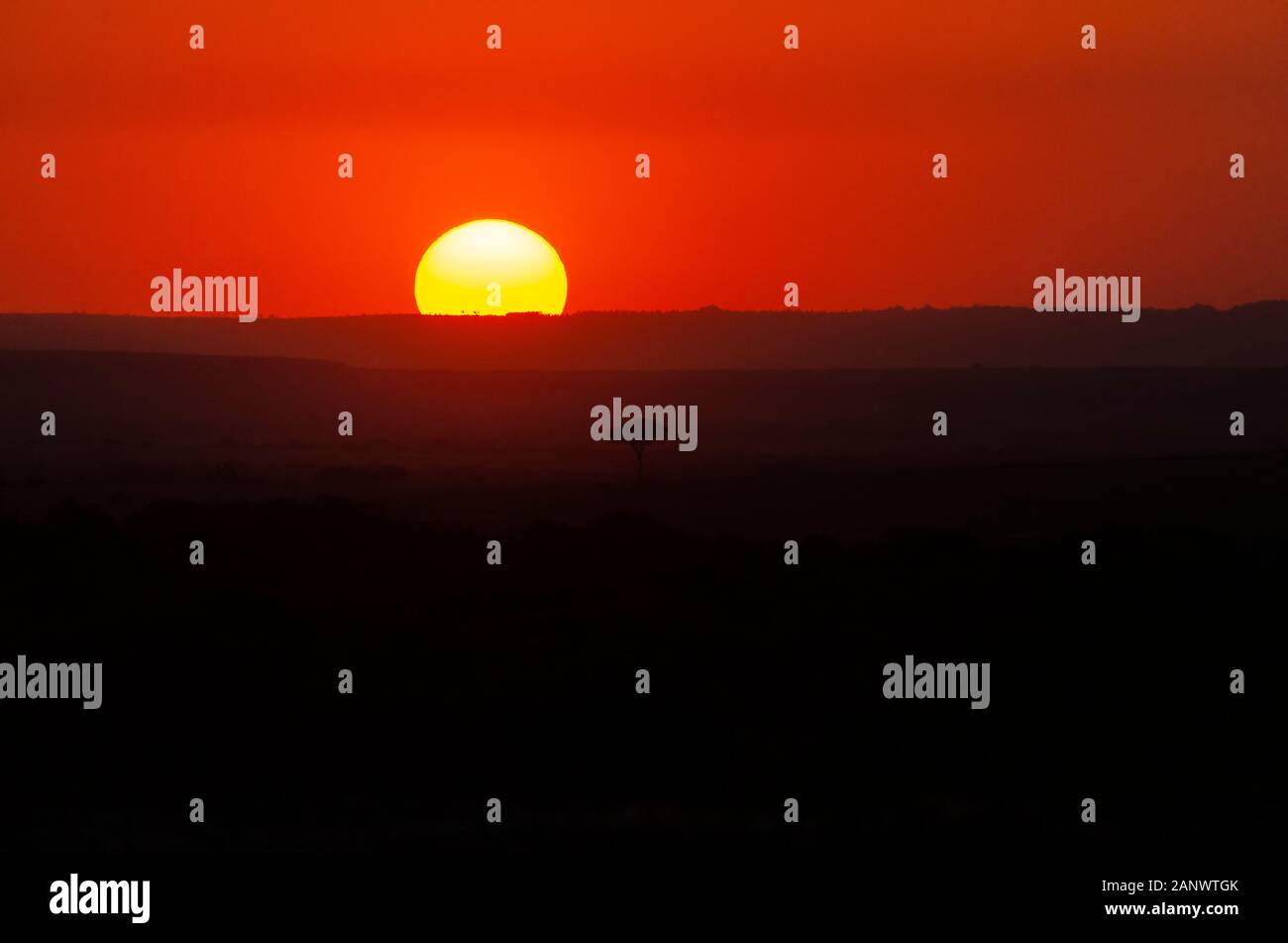 A gorgeous sunset in the plains of Masai Mara National Reserve during a ...