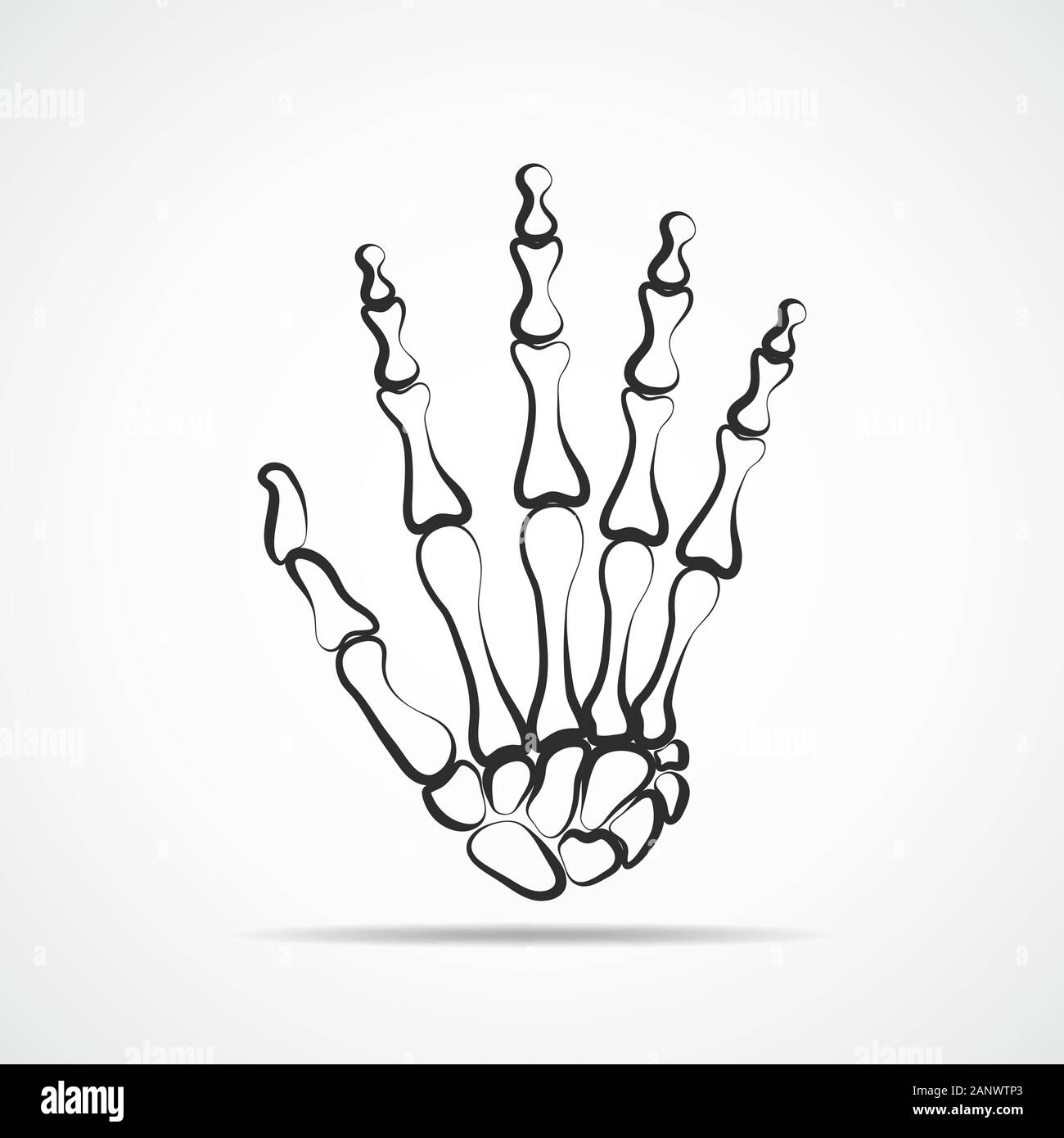 Hand bone on light background. Skeleton of the hand. Vector ...