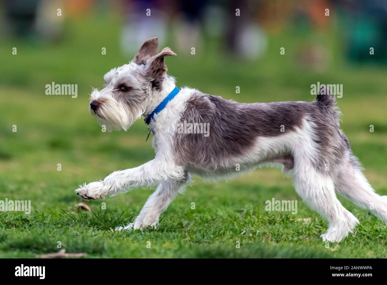 Expression face speed hi-res stock photography and images - Alamy