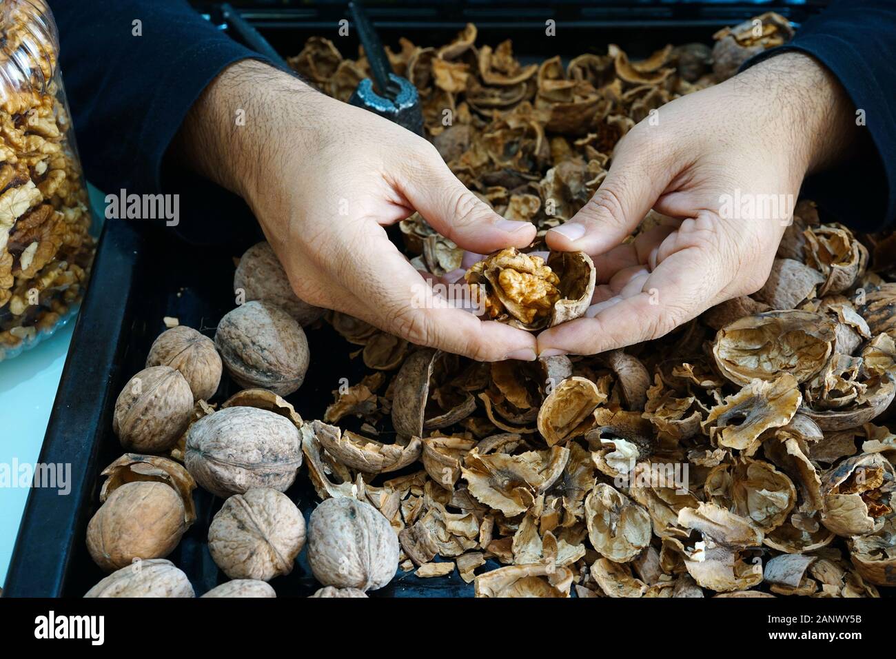 shelled walnuts breaking. With Nutcracker, the shells of walnuts are ...