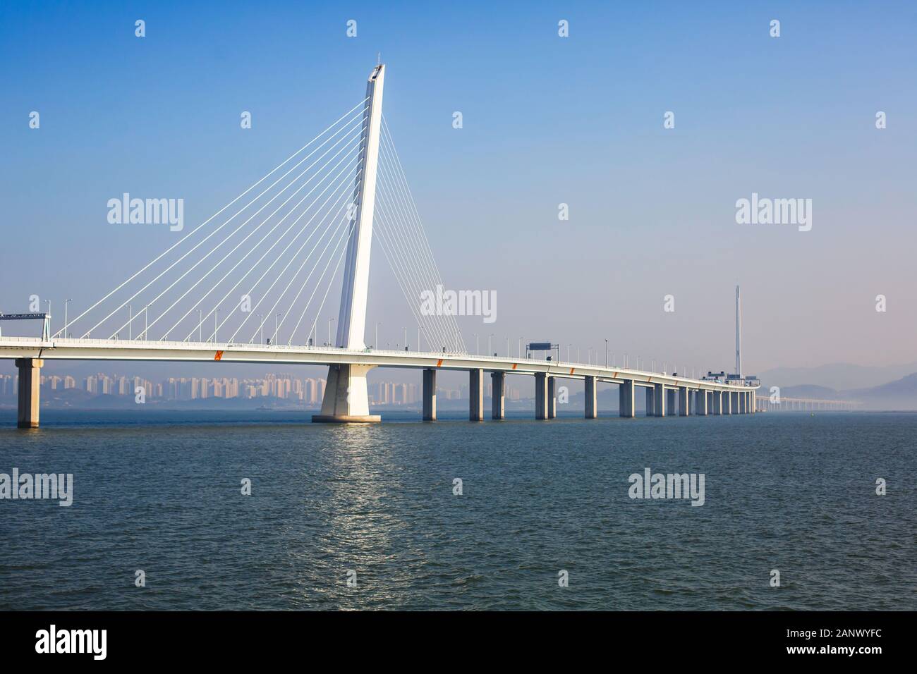 Shenzhen Bay Bridge under the blue sky, cable-stayed bridge from ...