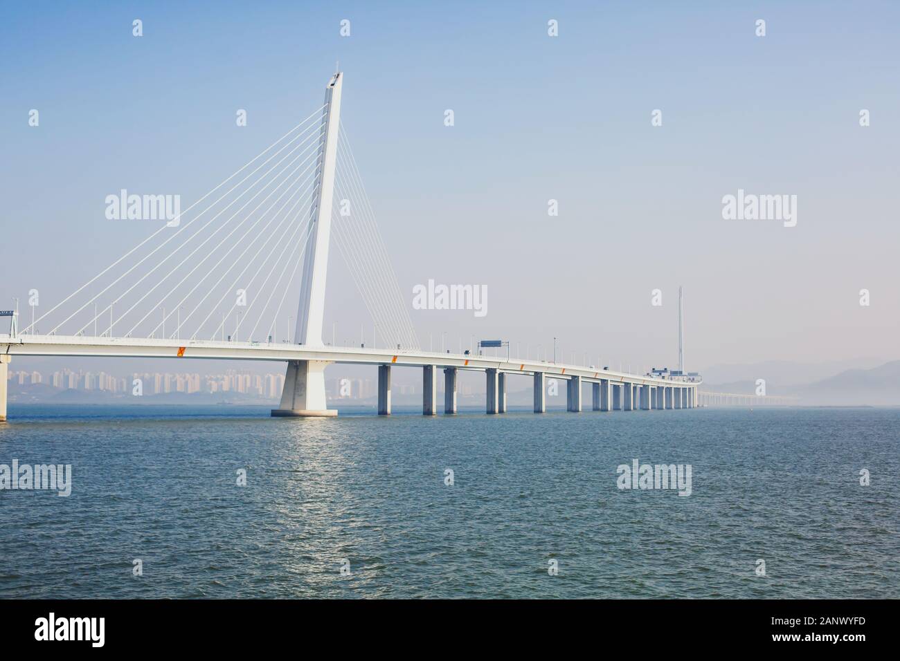 Shenzhen Bay Bridge under the blue sky, cable-stayed bridge from ...