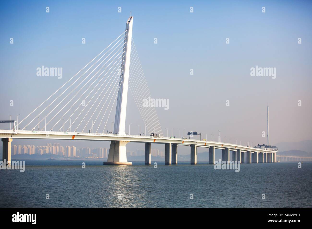 Shenzhen Bay Bridge under the blue sky, cable-stayed bridge from ...