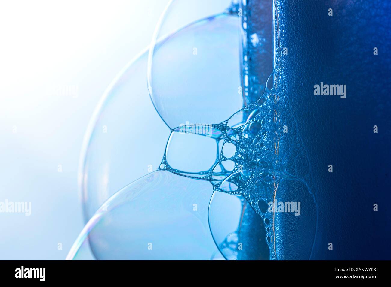 Creative abstract background made of chain of bubbles structure in blue ...